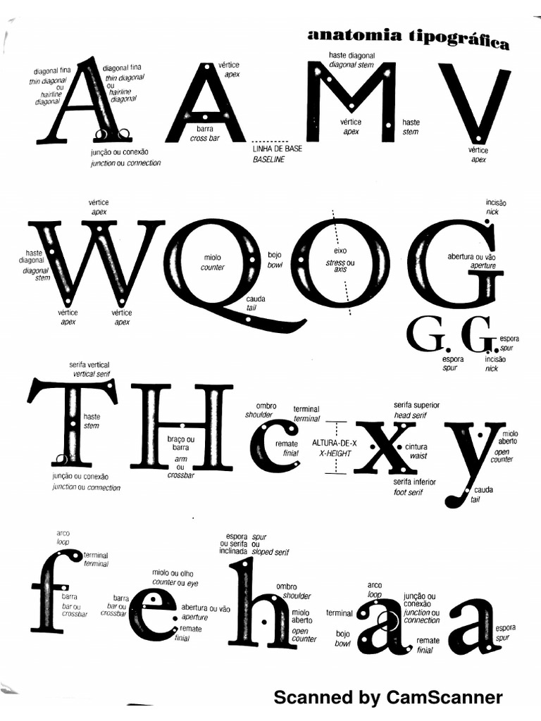 Anatomia Tipografica | PDF