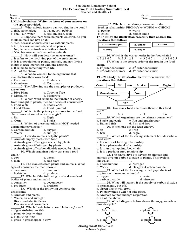 Ecosystem Test for Grade 6 Students | PDF | Plants | Food Web