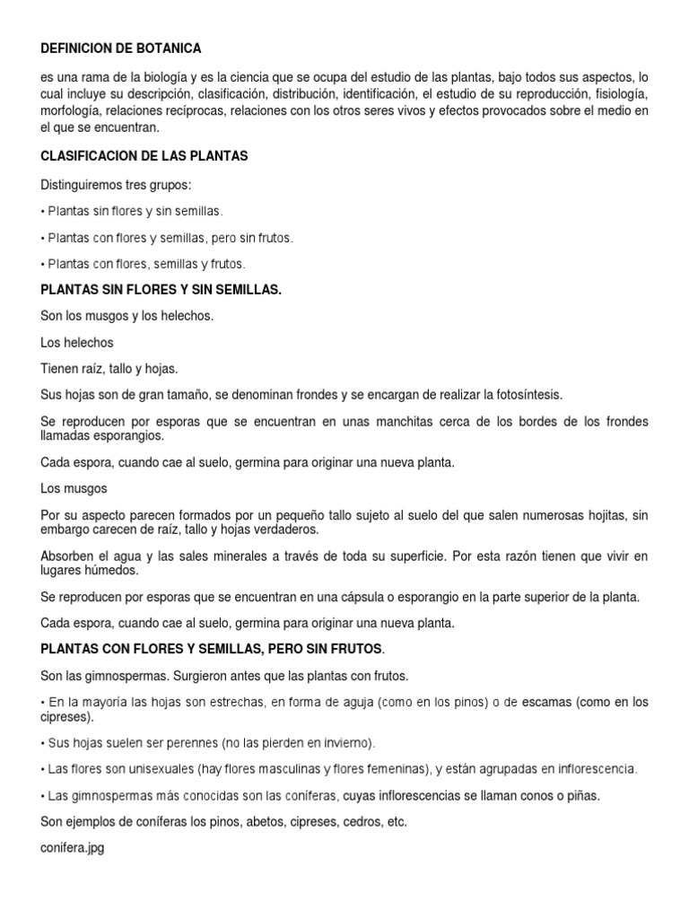 Definicion de Botanica | PDF | Tallo de la planta | Plantas
