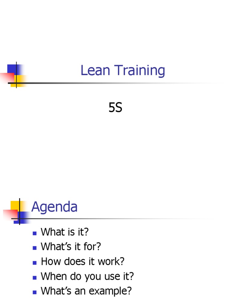 5S Training Manual | PDF | Lean Manufacturing | Business