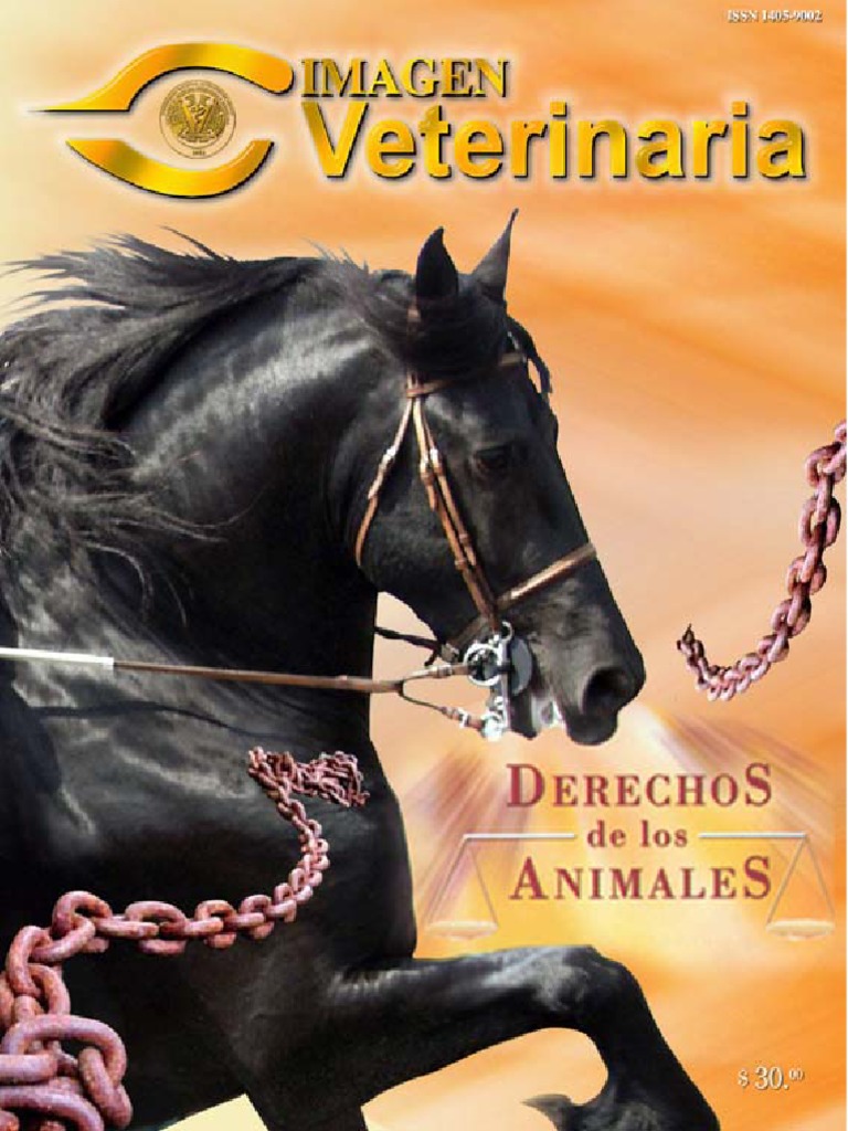 Derechos de Los Animales | PDF | Bienestar de los animales | Moralidad