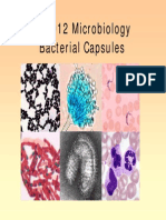 Encapsulated Vs Non Encapsulated Gram Positive Bacteria | PDF