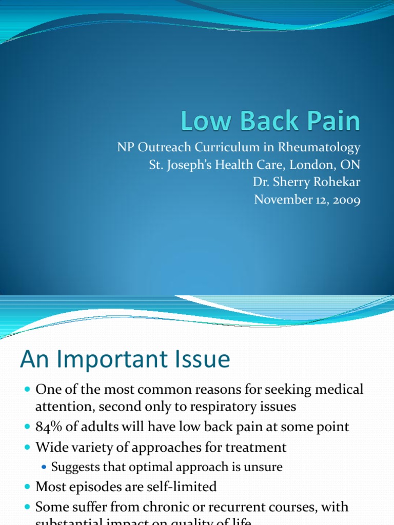Lower Back Pain | PDF | Low Back Pain | Back Pain