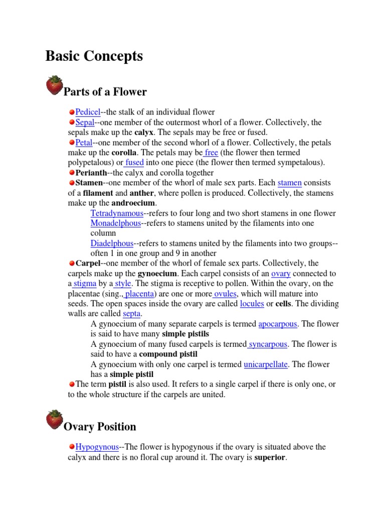 An In-Depth Guide to Flower, Fruit and Inflorescence Structures and ...
