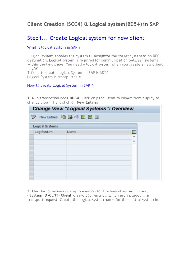 Creating Logical Systems in SAP | PDF | System Software | Computing