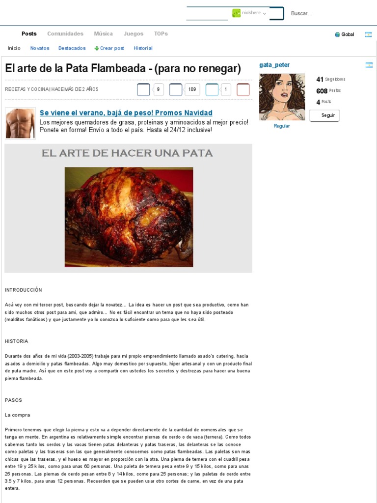 Receta de Pata Flambeada Perfecta | PDF | Mayonesa | Carne
