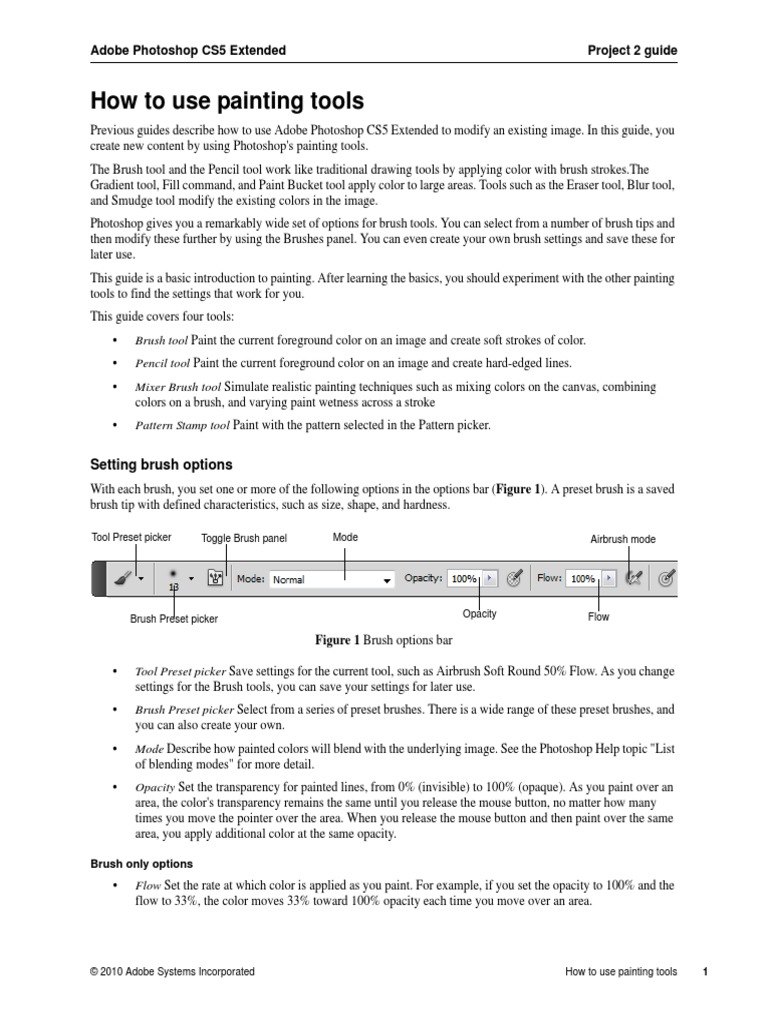 Project 2.5 How To Use Painting Tools | PDF | Adobe Photoshop | Paintings