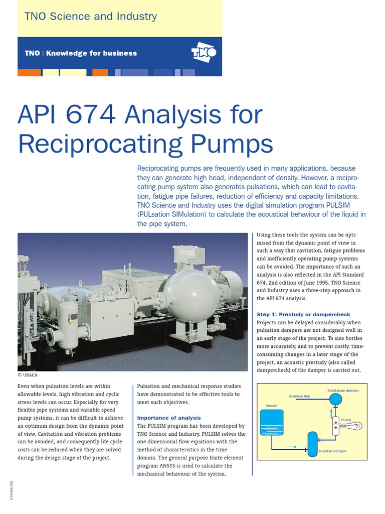 API 674 Pumps1 | PDF