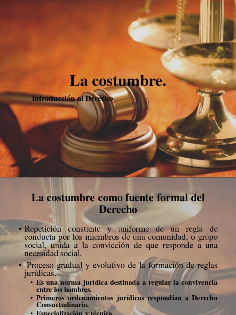 La Costumbre | PDF | Legislación | Instituciones sociales