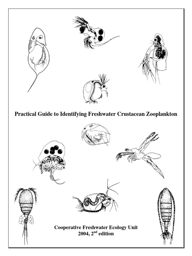 Freshwater Zooplankton Identification Guide | PDF | Anatomical Terms Of ...