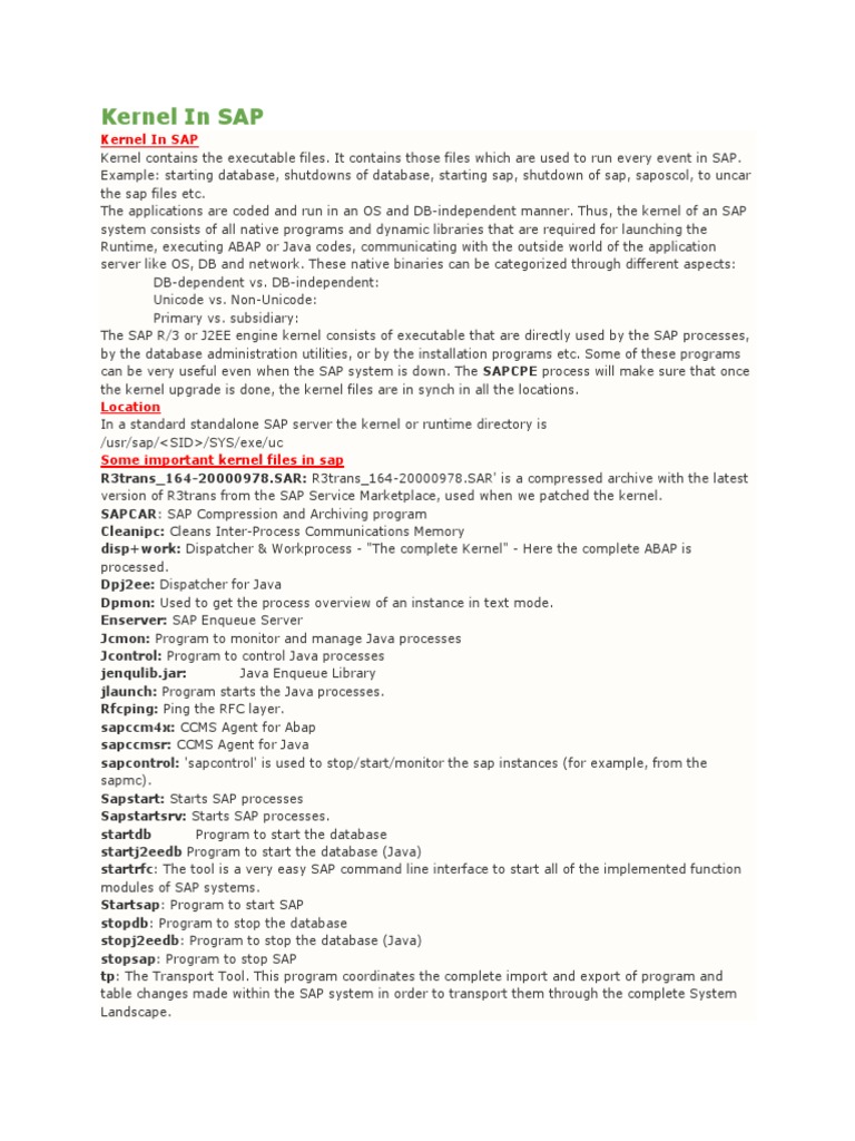 Kernel in SAP | PDF | Kernel (Operating System) | Computer File