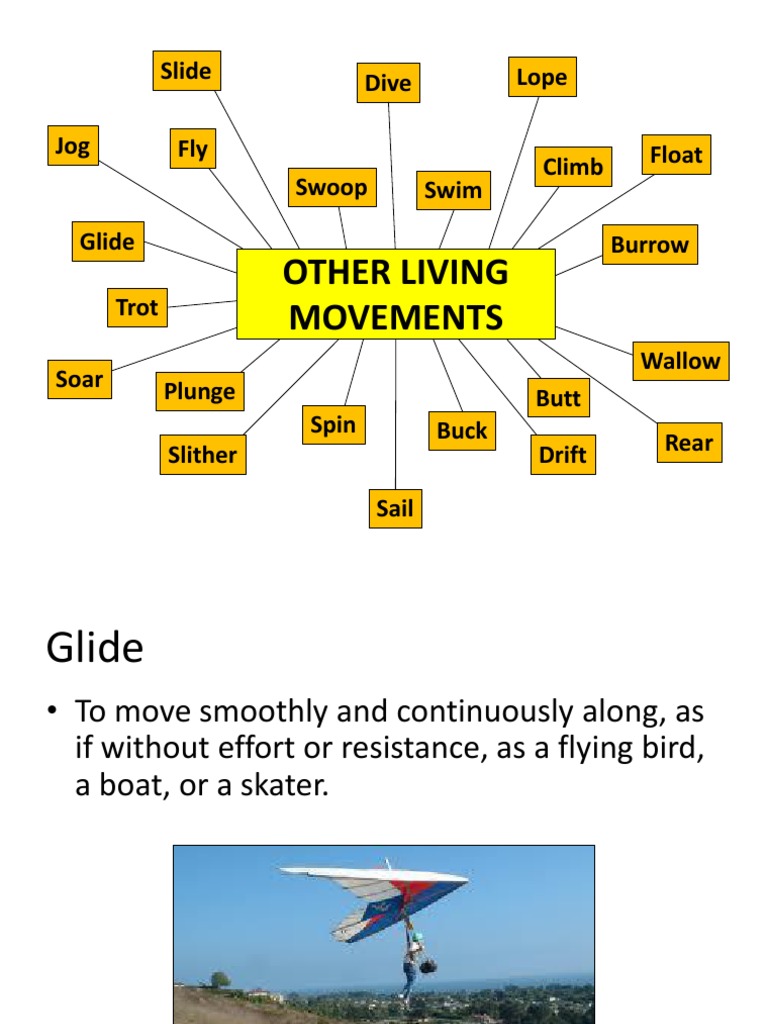 Other Living Movements: Dive Slide Lope Fly Jog Swoop | PDF | Boiling ...