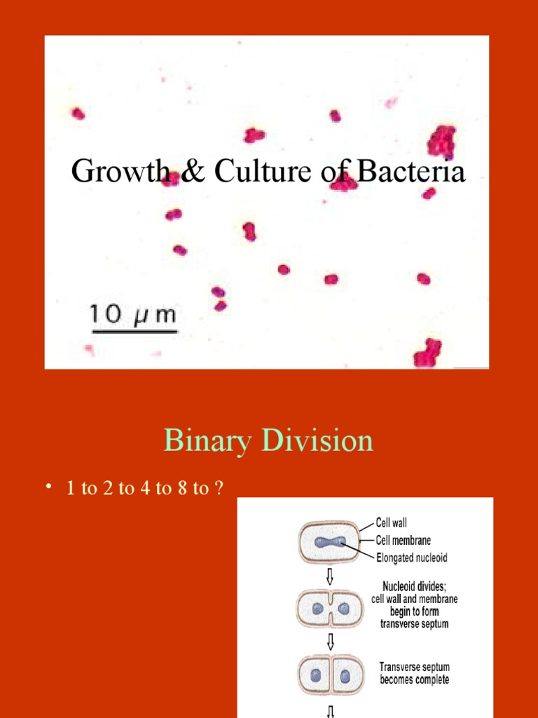 Bacterial Growth & Conditions | PDF | Chemistry | Chemistry