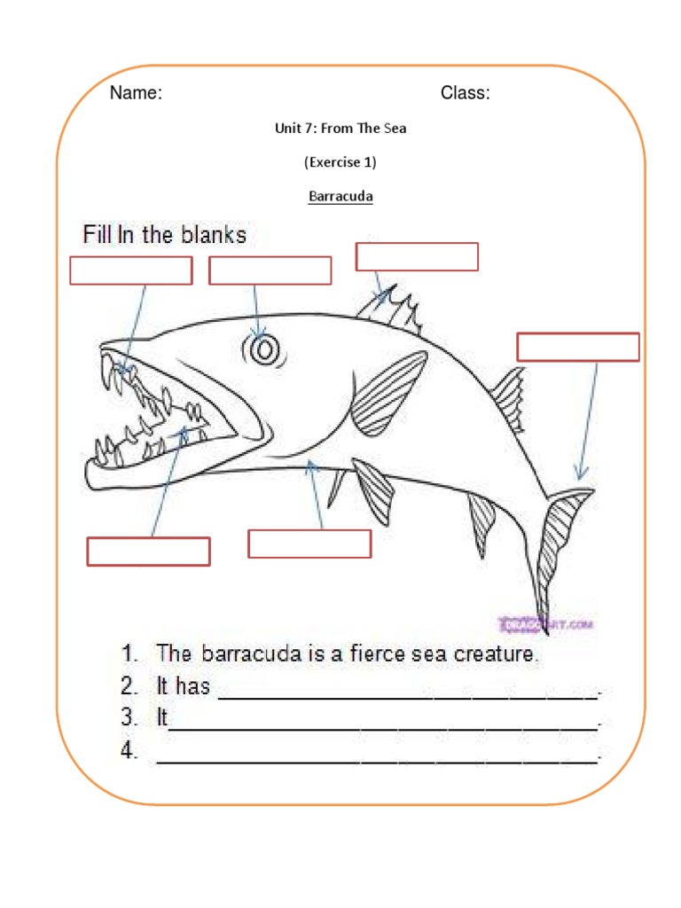 Name: Class:: Unit 7: From The Sea (Exercise 1) Barracuda | PDF ...