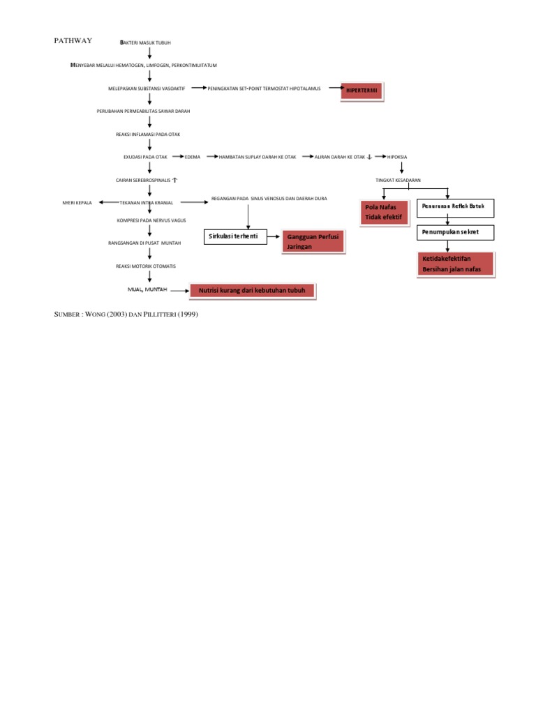 PATHWAY Meningitis | PDF