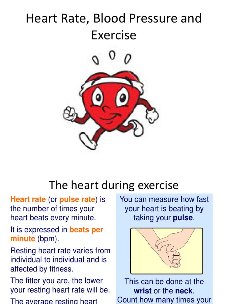 Heart Rate and Blood Pressure During Exercise | PDF | Blood Pressure ...