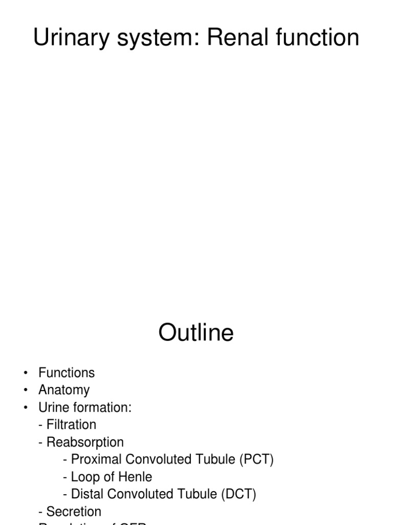 Urinary System: Renal Function | PDF | Renal Function | Kidney