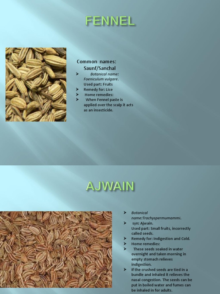 Common Names: Saunf/Sanchal | PDF | Cinnamon | Spice