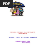 General Studies Project CBSE Class 11 | PDF | Sustainability | Science