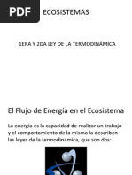Sopa de Letras y Bingo Químico | PDF | Calor | Ramas de la termodinámica