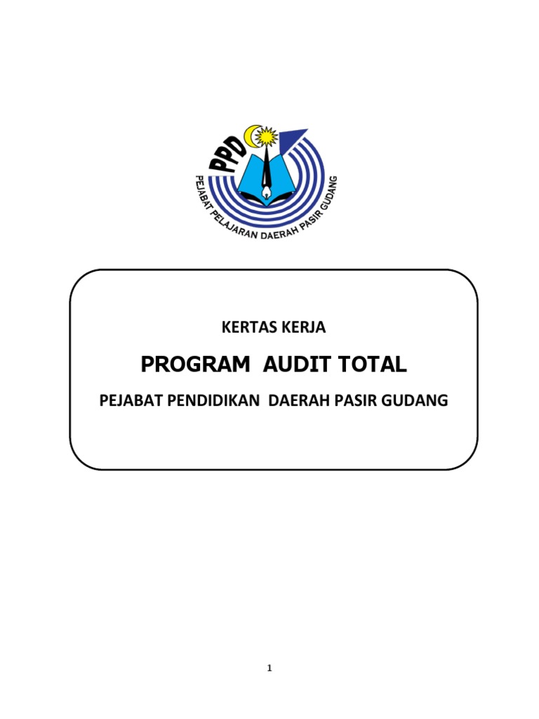 Audit Total PPDPG | PDF