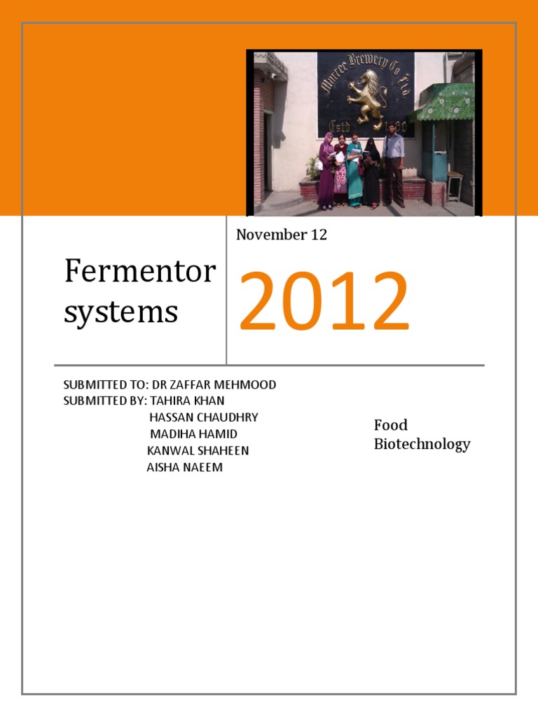 Fermentation Systems | PDF | Brewing | Malt