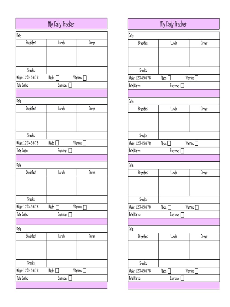 Daily Tracker 2 | PDF