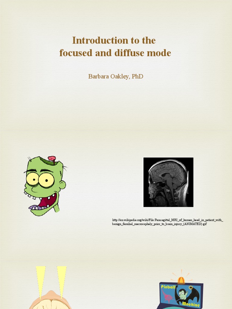 1-1 Introduction To The Focused and Diffuse Modes | PDF
