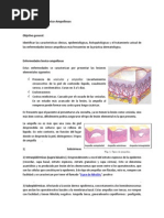ACANTOLISIS | PDF | Piel | Epidemiología