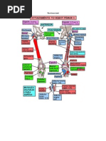 Screendem P KIrwan Spondyloarthropathy | PDF