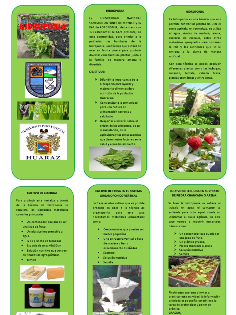 Triptico Hidroponia 01 | PDF | Hidroponia | Horticultura y jardinería