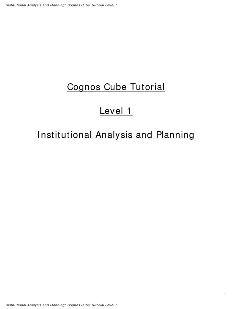 Cognos Cube Basics for Analysts | PDF | Microsoft Excel | Software
