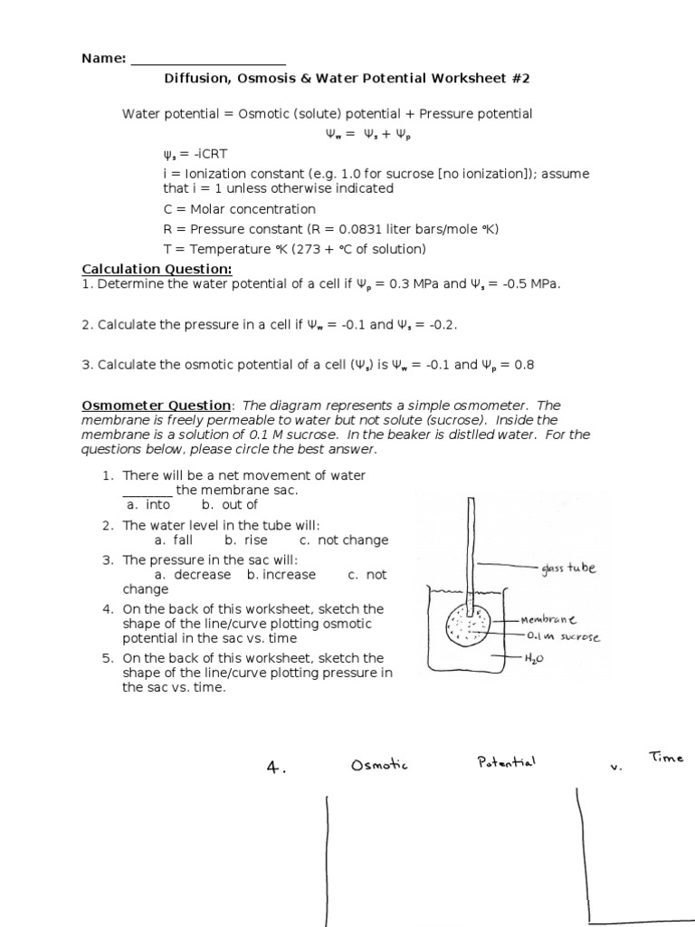 Water Potential WS #2 | PDF