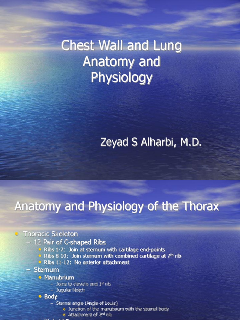 Chest Wall, Lung Anatomy and Physiology | PDF | Thorax | Lung