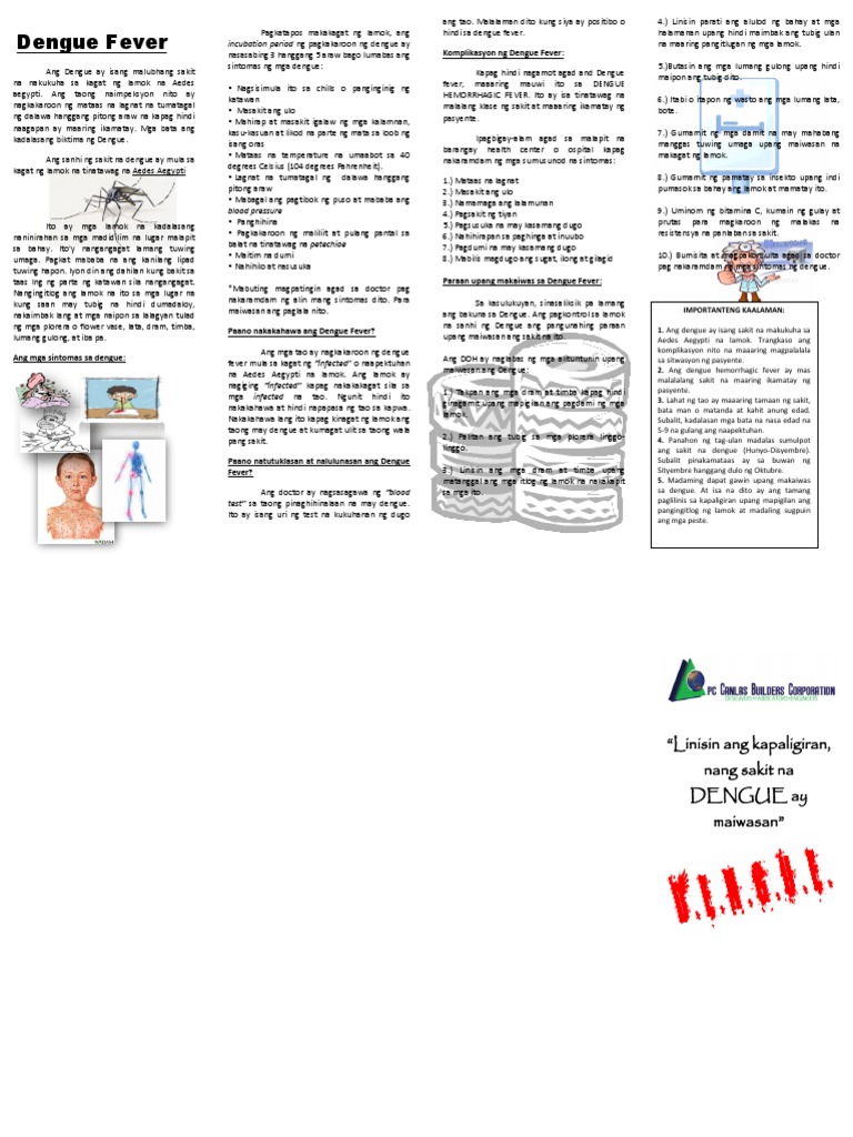 Dengue Pamphlet | PDF