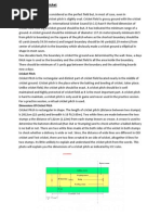 Cricket Pitch Dimensions | PDF