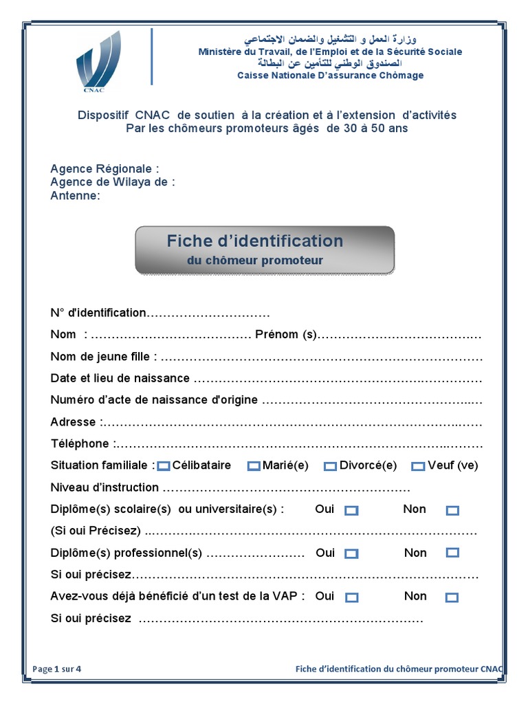 Fiche Identification | PDF | Chômage | Sciences sociales