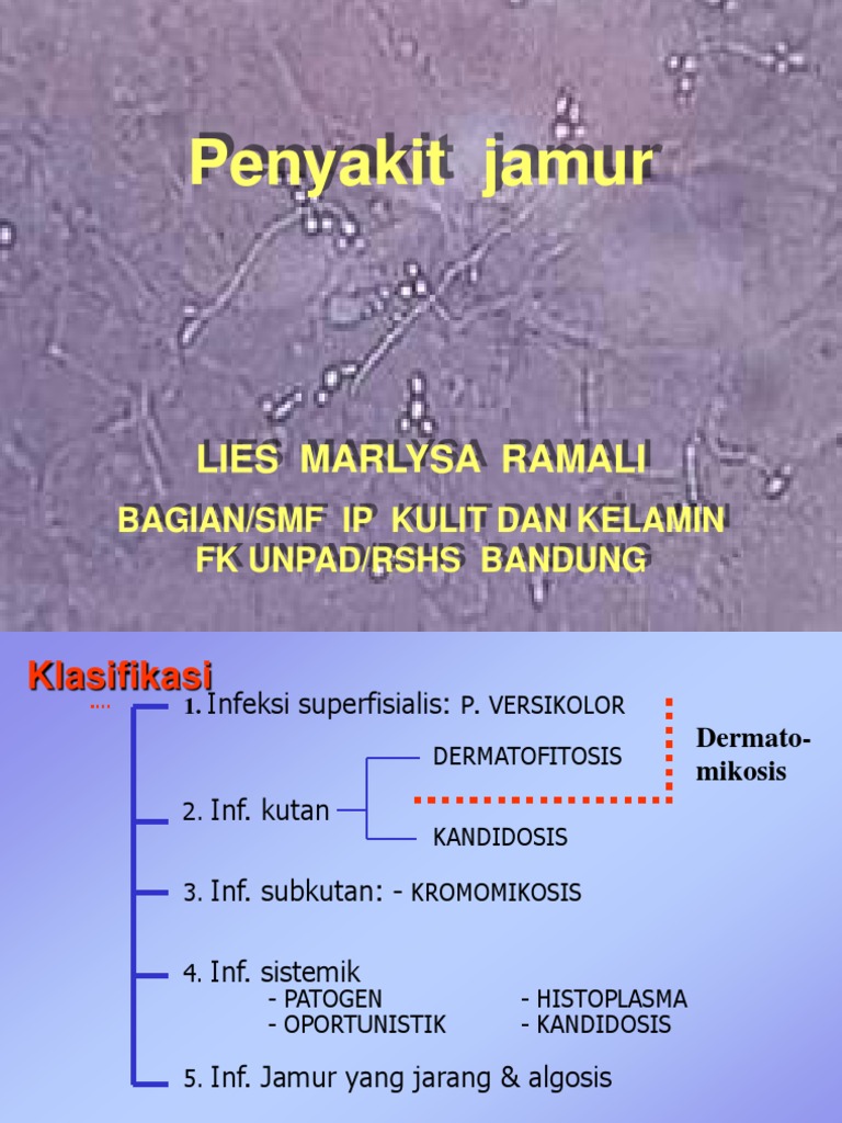 Infeksi Jamur | PDF