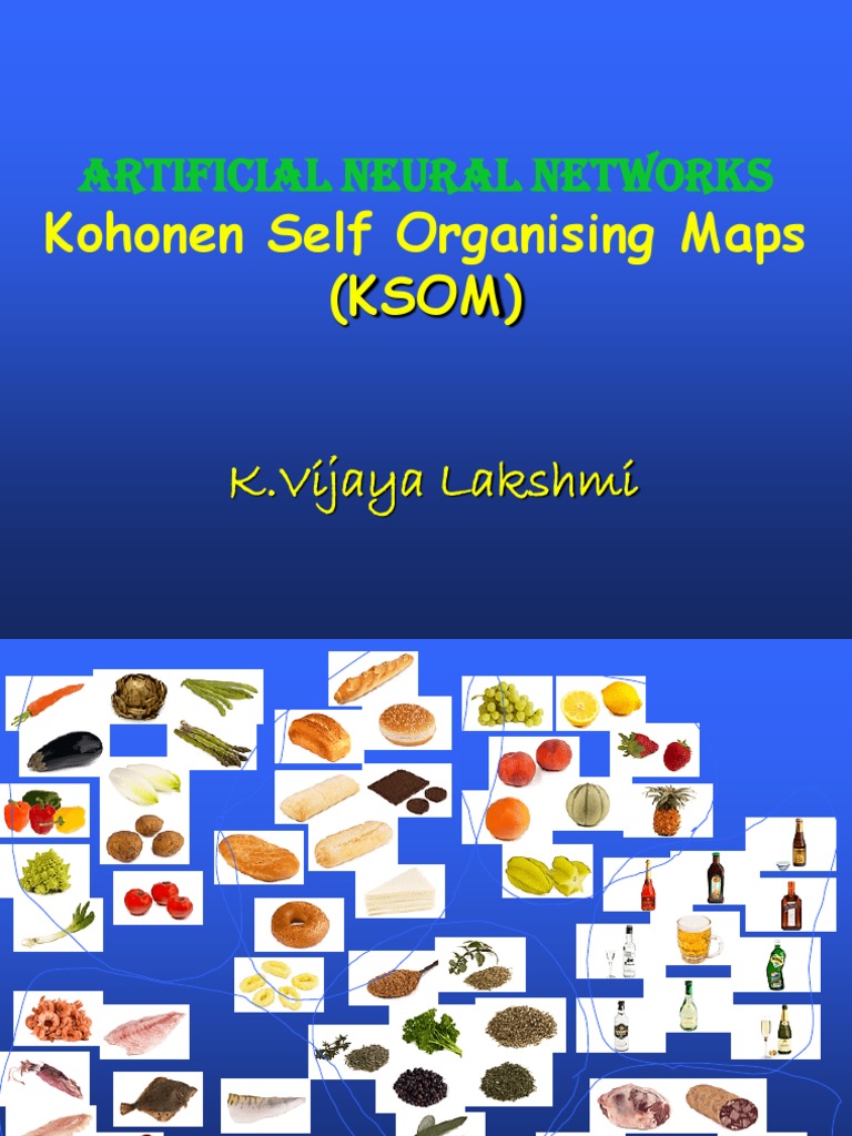 Kohonen Self-Organizing Maps Overview | PDF | Computational ...