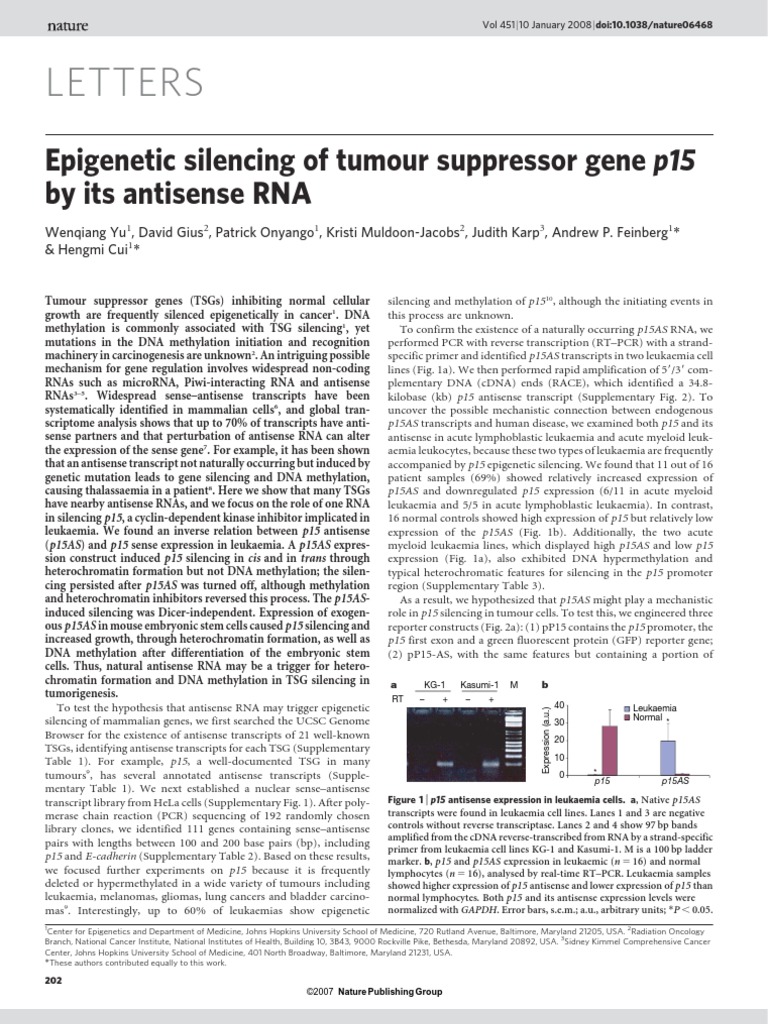 Letters: Epigenetic Silencing of Tumour Suppressor Gene p15 by Its ...