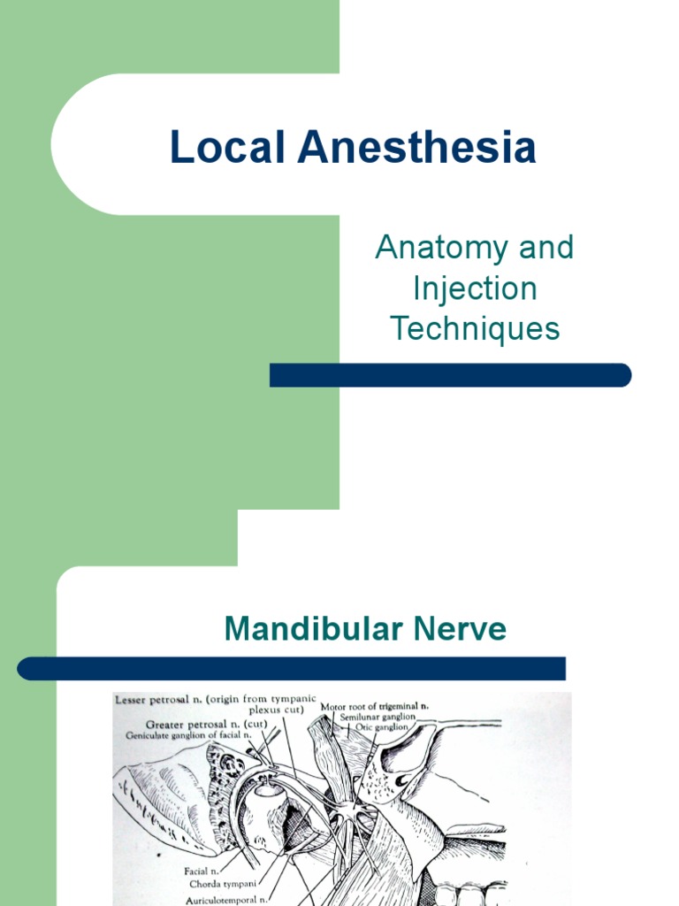 Local Anesthesia: Anatomy and Injection Techniques | PDF