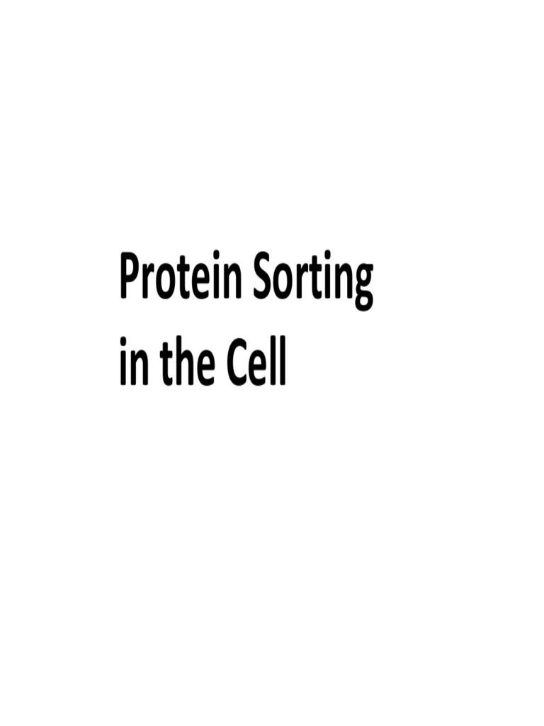 Protein Targeting and Transport in the Eukaryotic Cell: A Comprehensive ...