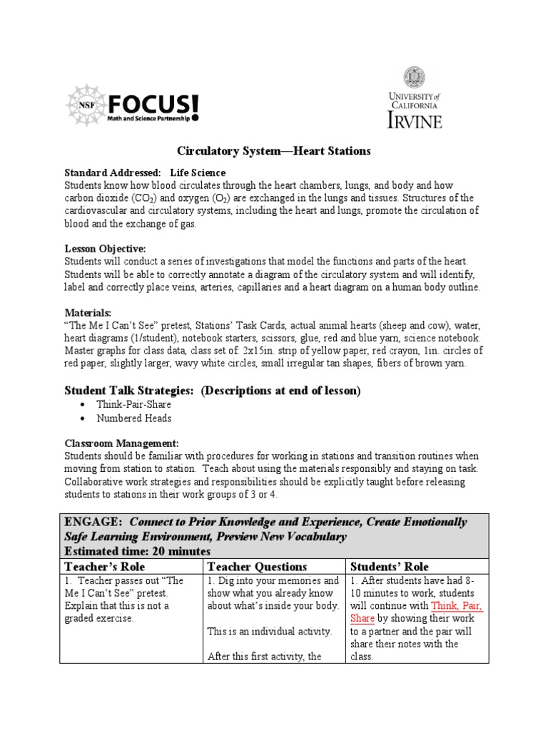 Circulatory System | PDF | Circulatory System | Artery
