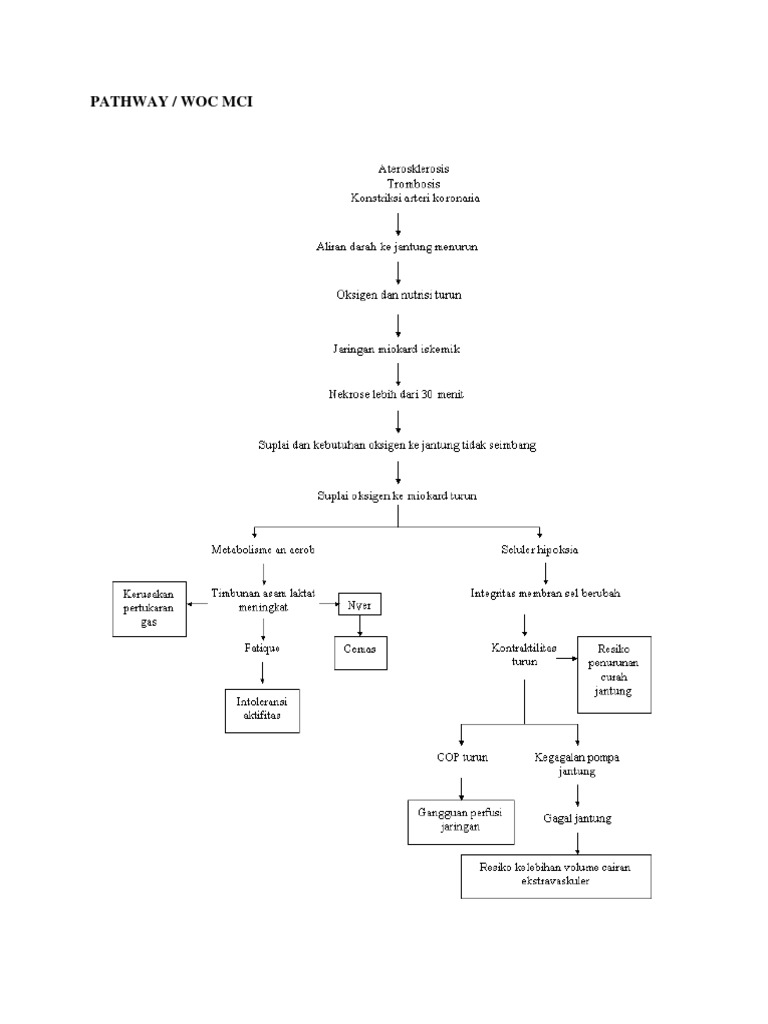 Pathway | PDF