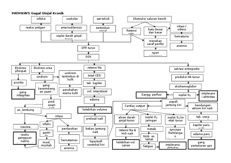 Pathway GGK | PDF | Symptoms And Signs | Organ (Anatomy)