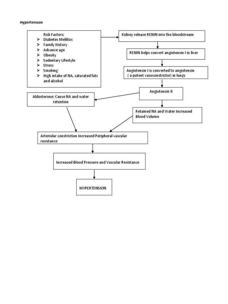 Pathophysiology of Hypertension Explained | PDF | Angiotensin ...
