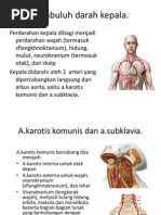 Anatomi Regio Kepala dan Leher | PDF