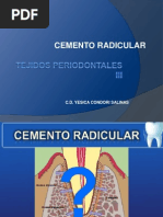 Tipos de Cemento Radicular: Acelular y Celular | PDF | Ramas de ...