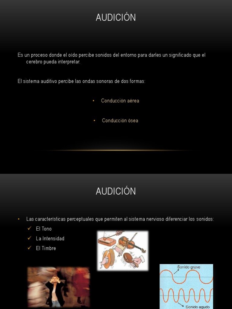 Audicion y Proceso de Audicion | PDF | Escuchando | Neurobiología