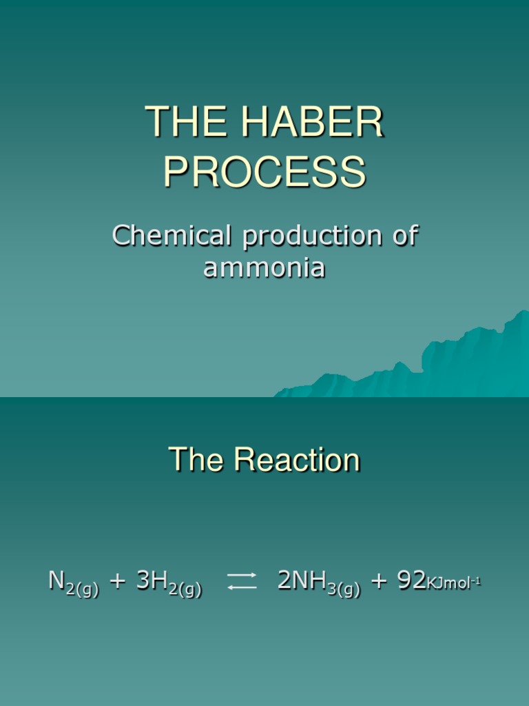 Haber Process | PDF | Chemical Reactions | Catalysis